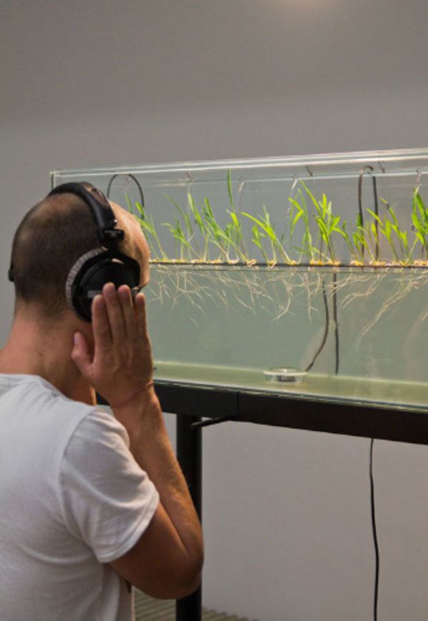 Sebastian Frisch – Biophonic Garden, botanical sound communications ...